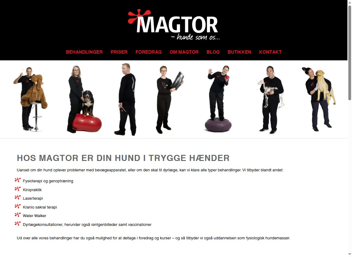 Konverteringsoptimering af hjemmeside og udvikling af webshop til Magtor